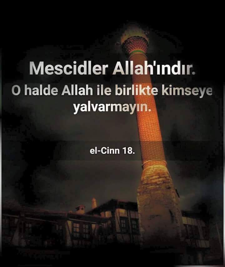 Cin Suresi 18. Ayet Meali, Cin 18, 72:18