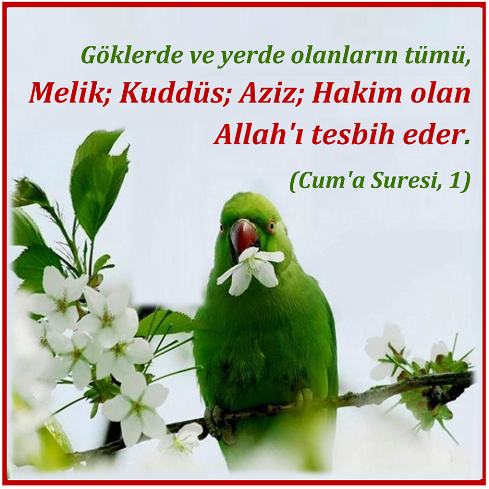 Cuma Suresi 1. Ayet Meali, Cuma 1, 62:1