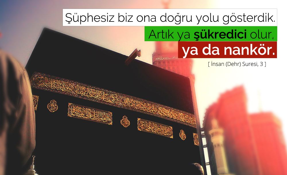 İnsân Suresi 3. Ayet Meali, İnsân 3, 76:3