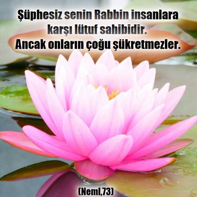 Neml Suresi 73. Ayet Meali, Neml 73, 27:73