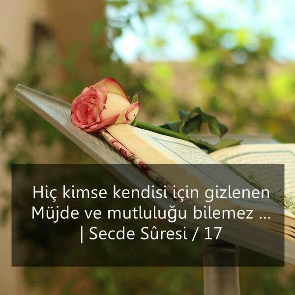 Secde Suresi 17. Ayet Meali, Secde 17, 32:17